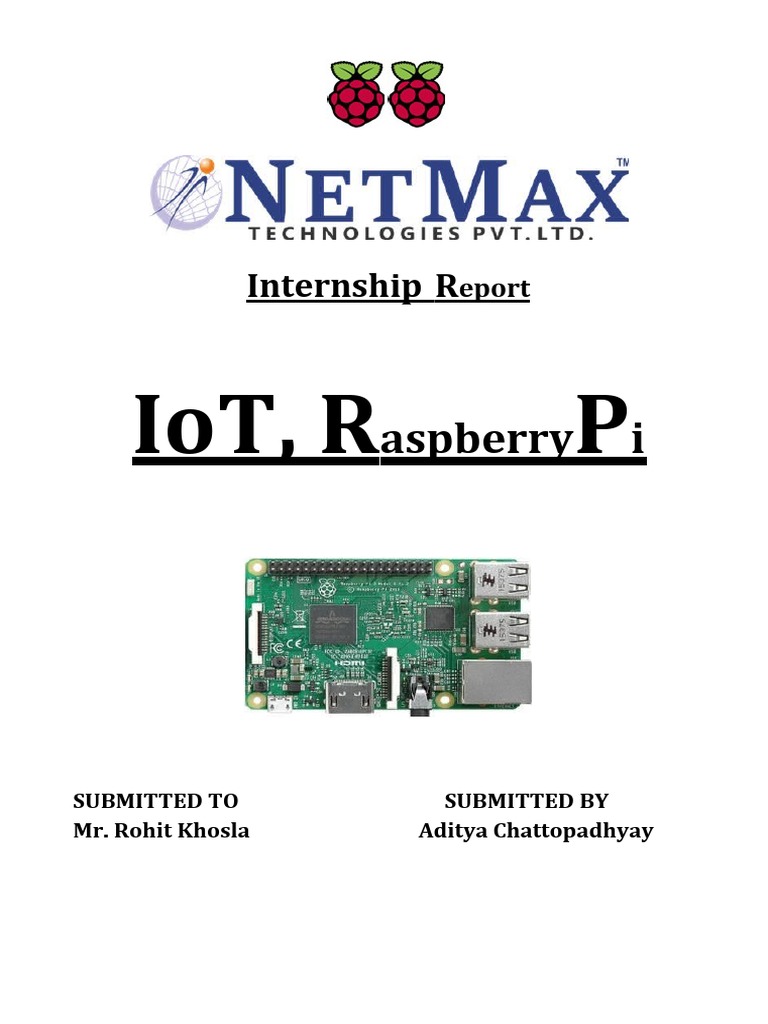 NetMax IoT Report - Aditya | PDF