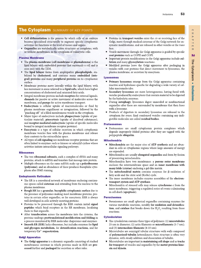 Cell Structure and Function Review | PDF