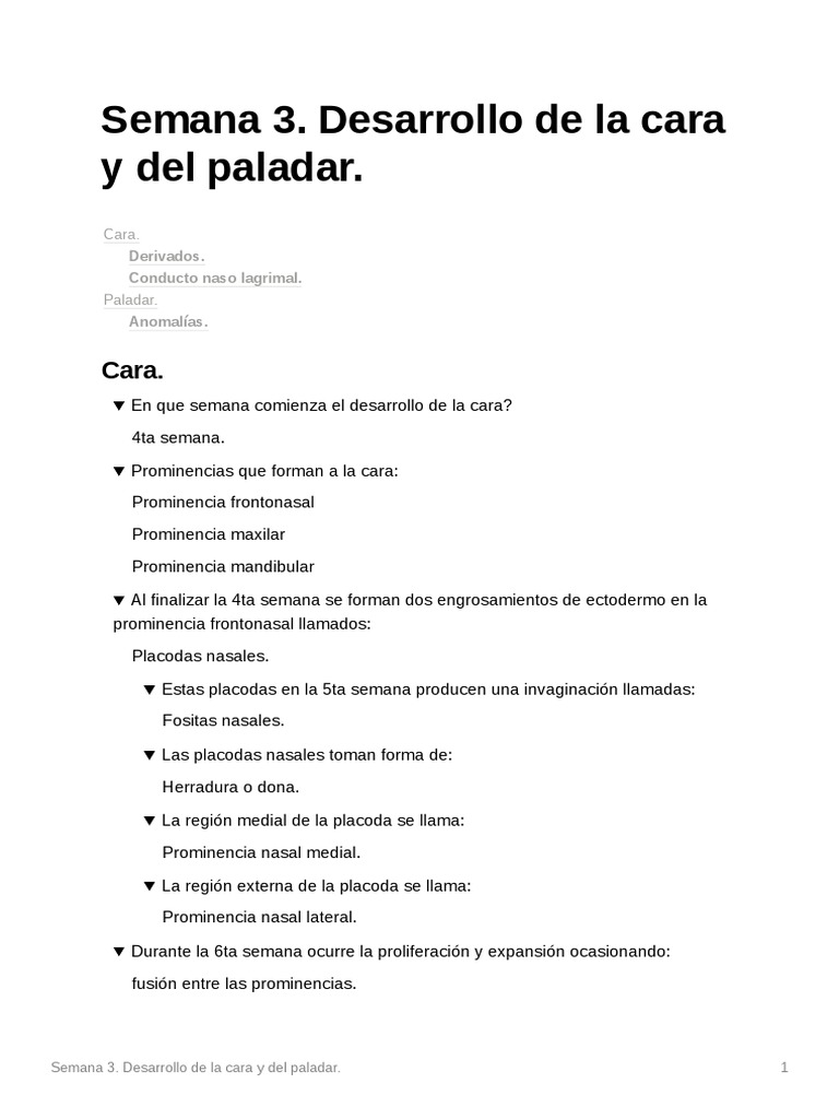 Desarrollo facial y palatino en embriones | PDF | Boca | Anatomía