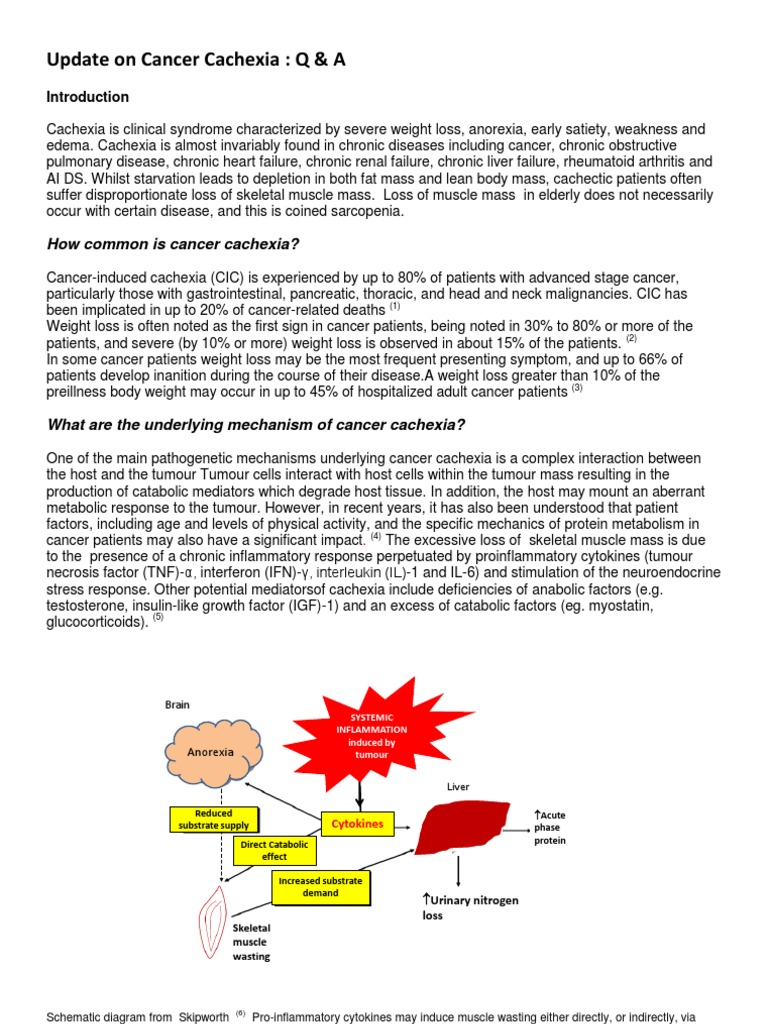 Update On Cancer Cachexia | PDF | Inflammation | Health Sciences