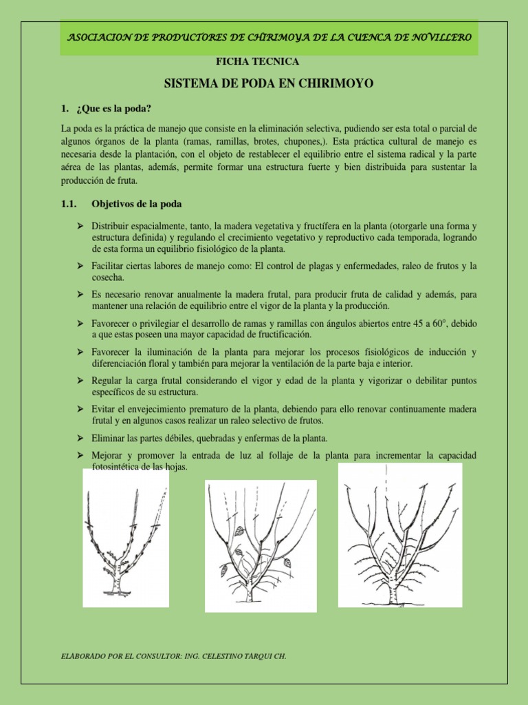 Ficha Tecnica Poda en Chirimoya | PDF