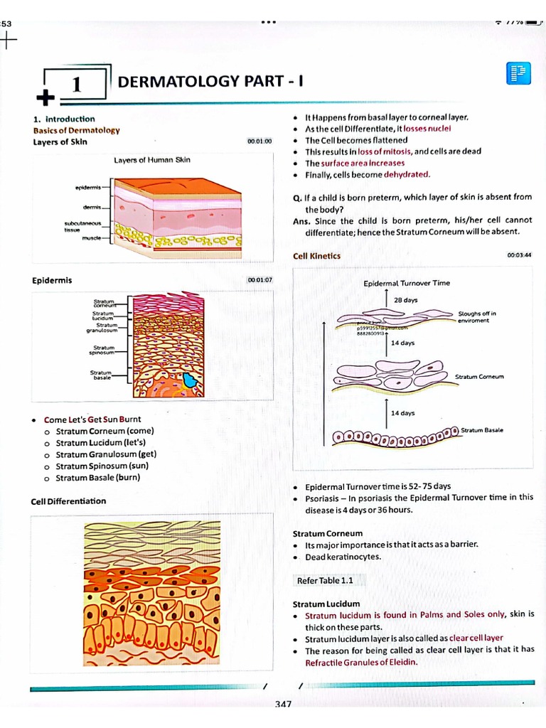 R.R Dermatology | PDF
