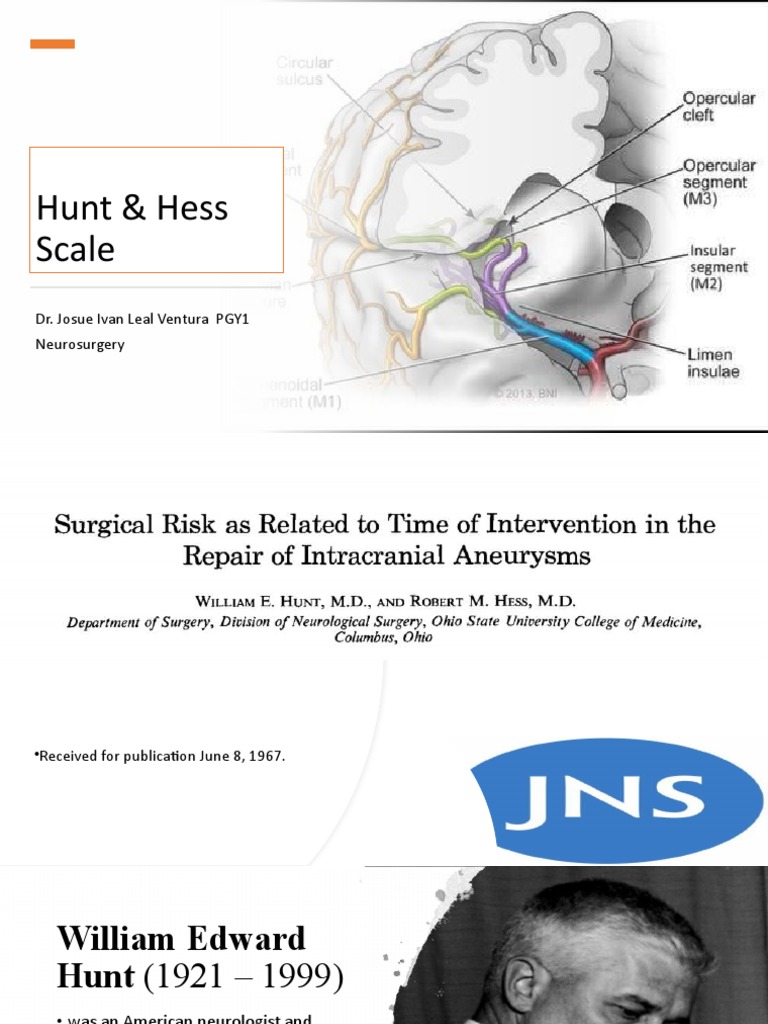 Hunt & Hess Scale | PDF | Wellness | Science & Mathematics
