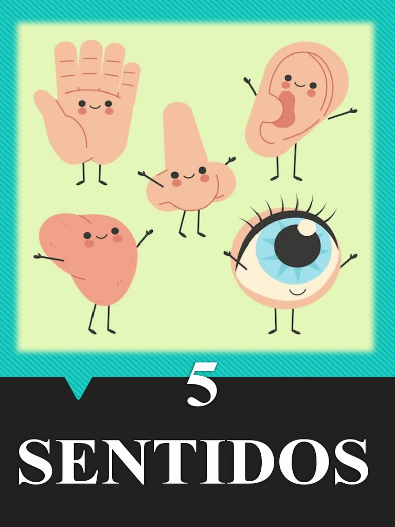 Los 5 Sentidos Flash Cards | PDF