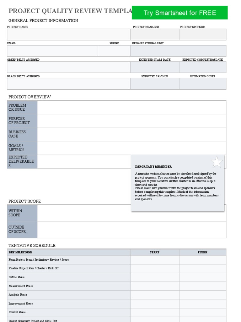 Project Quality Review Template | PDF | Business