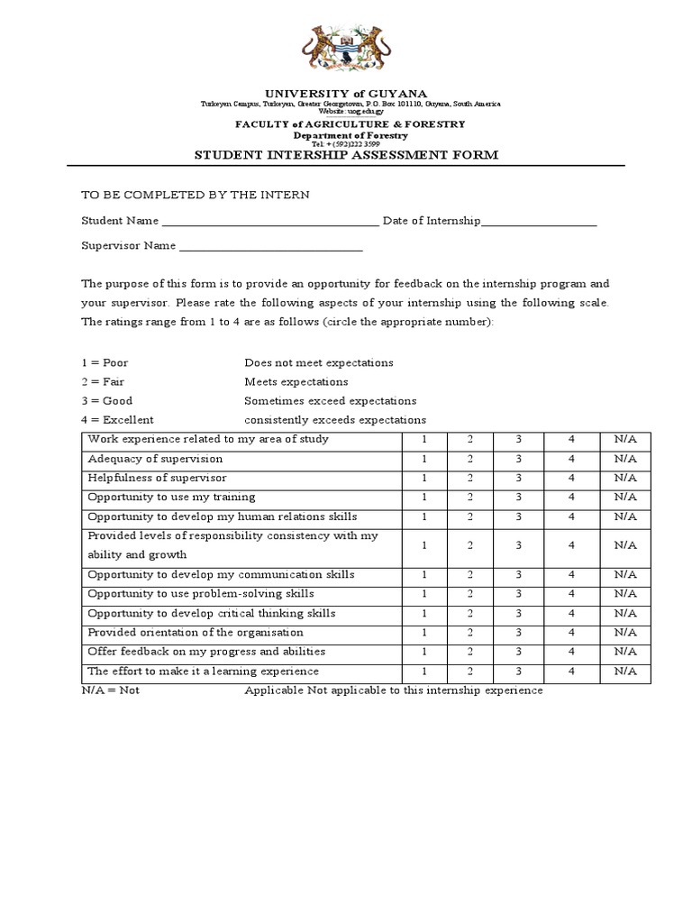 Student Intern Assessment Form | PDF | Internship | Job Hunting