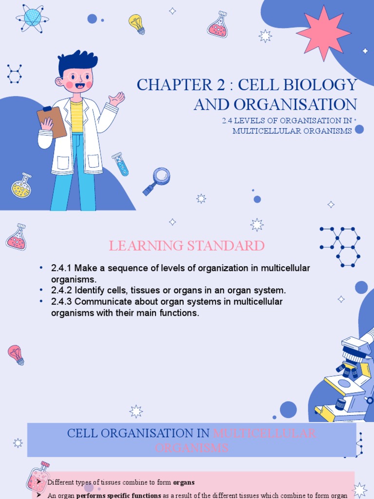 2.4 Levels of Organisation in Multicellular Organisms | PDF