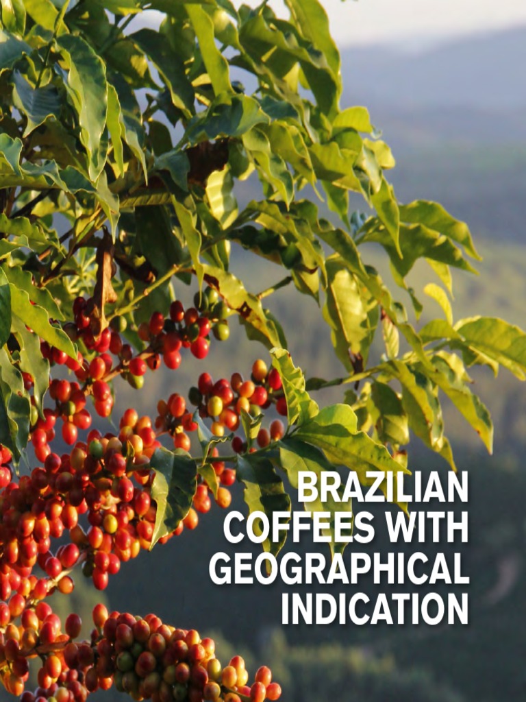 Brazilian Coffees With Geographical Indication | PDF