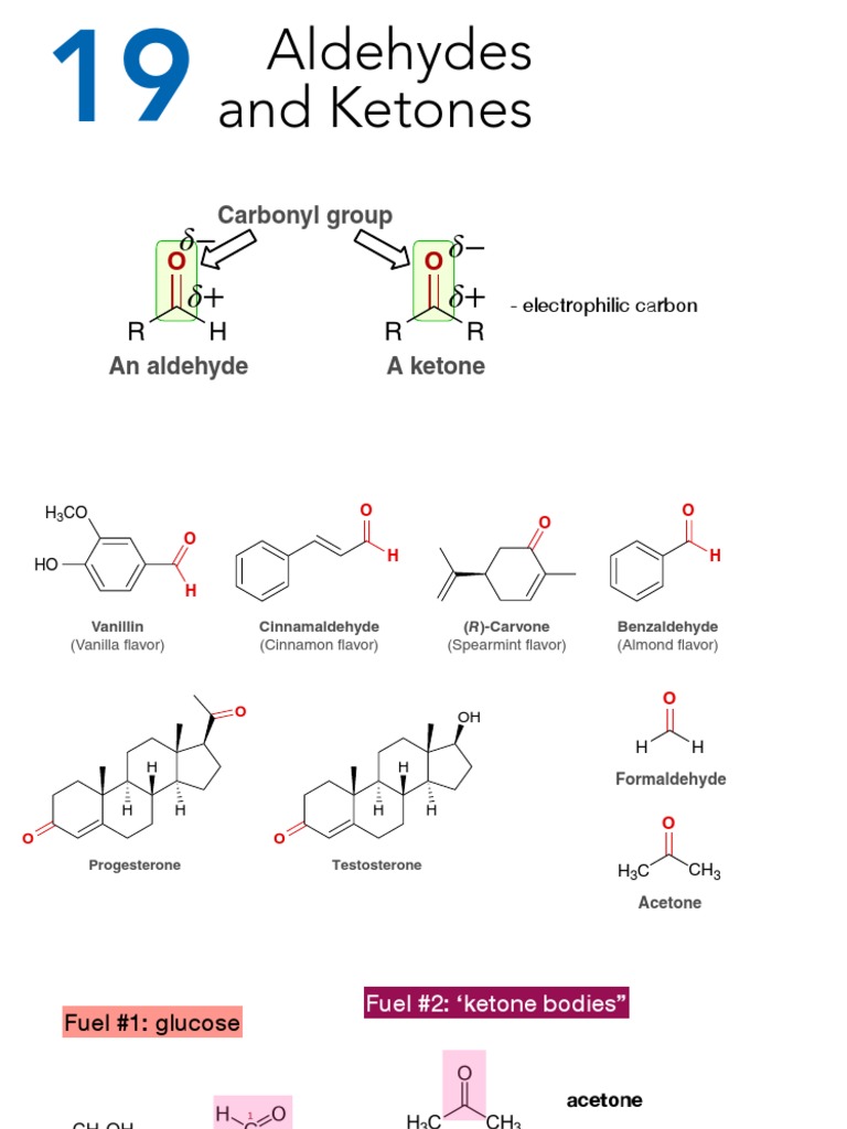Chapter 19. Aldehydes and Ketones - Part 1 | PDF