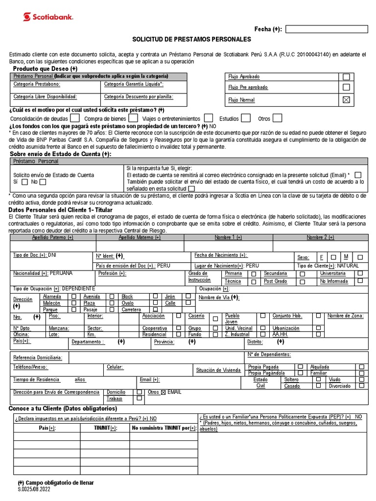 FORMATO COMPLETO MGP PARA ASESOR (1) | PDF