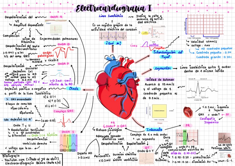 Mapa Mental Organelos | PDF