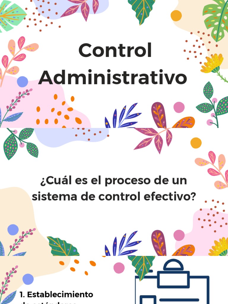 Control Administrativo | PDF