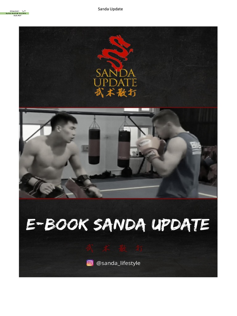 E-Book Gratuito Sanda Update PDF | PDF
