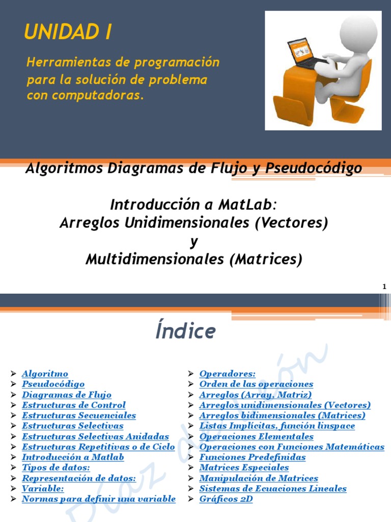 UNIDAD I Enero 2022 Alumno | PDF | Algoritmos | Matriz (Matemáticas)