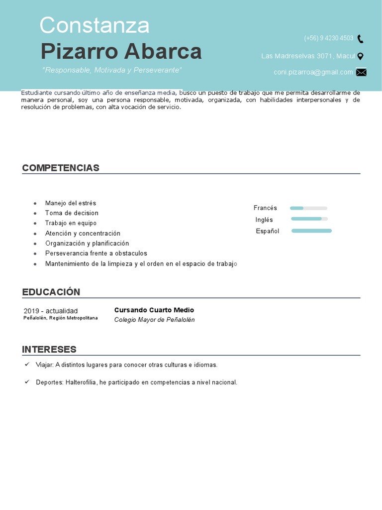 CV Constanza Pizarro A. | PDF