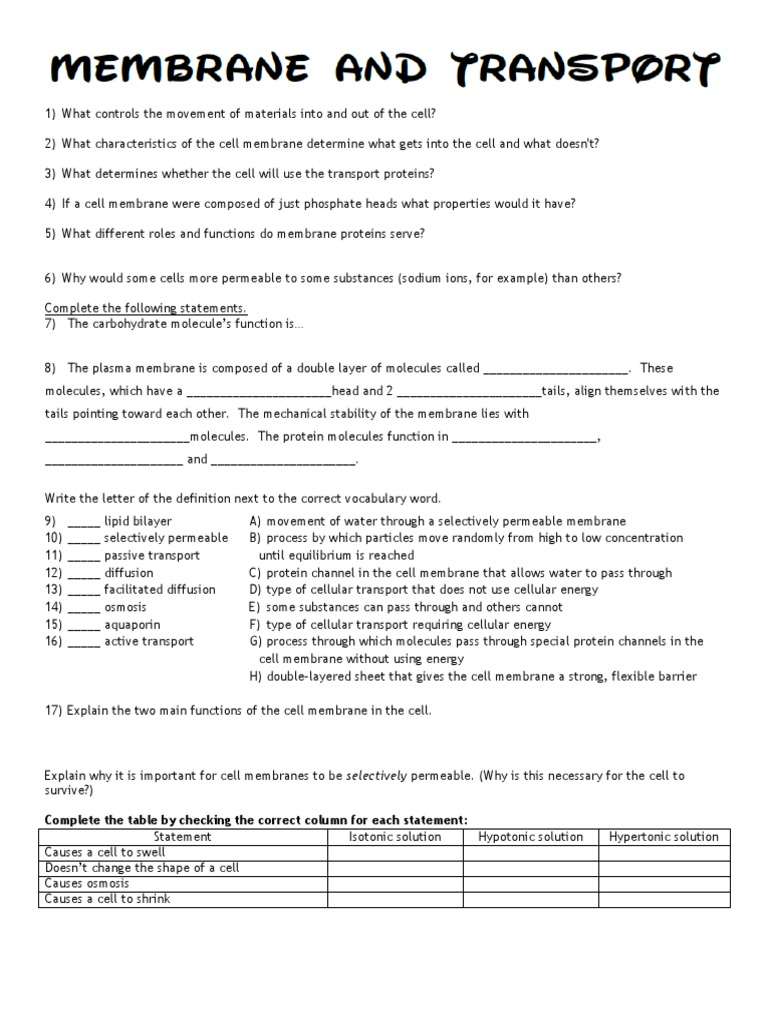 Cell Transport Review Worksheet | PDF
