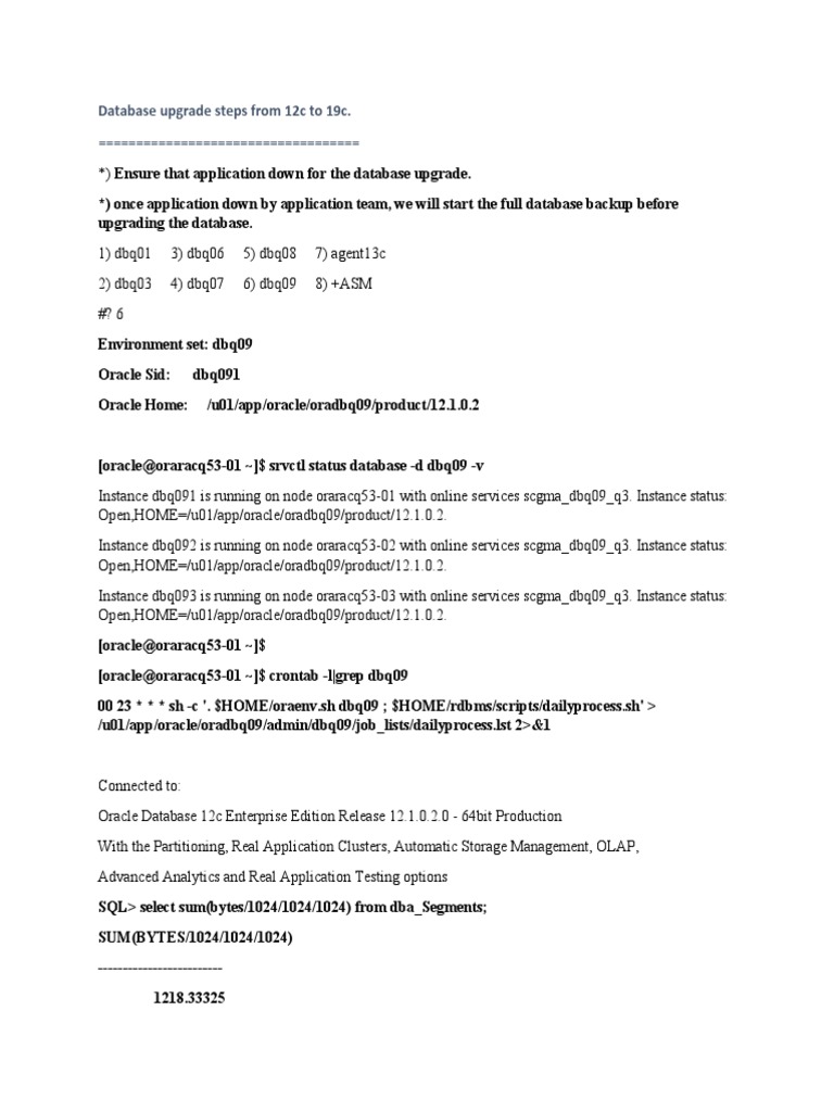 Database Upgrade Steps From 12c To 19c 26dec21 Pdf