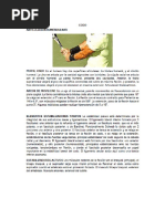 Tróclea - Qué Es, Significado, Ubicación, Función y Lesiones | PDF ...