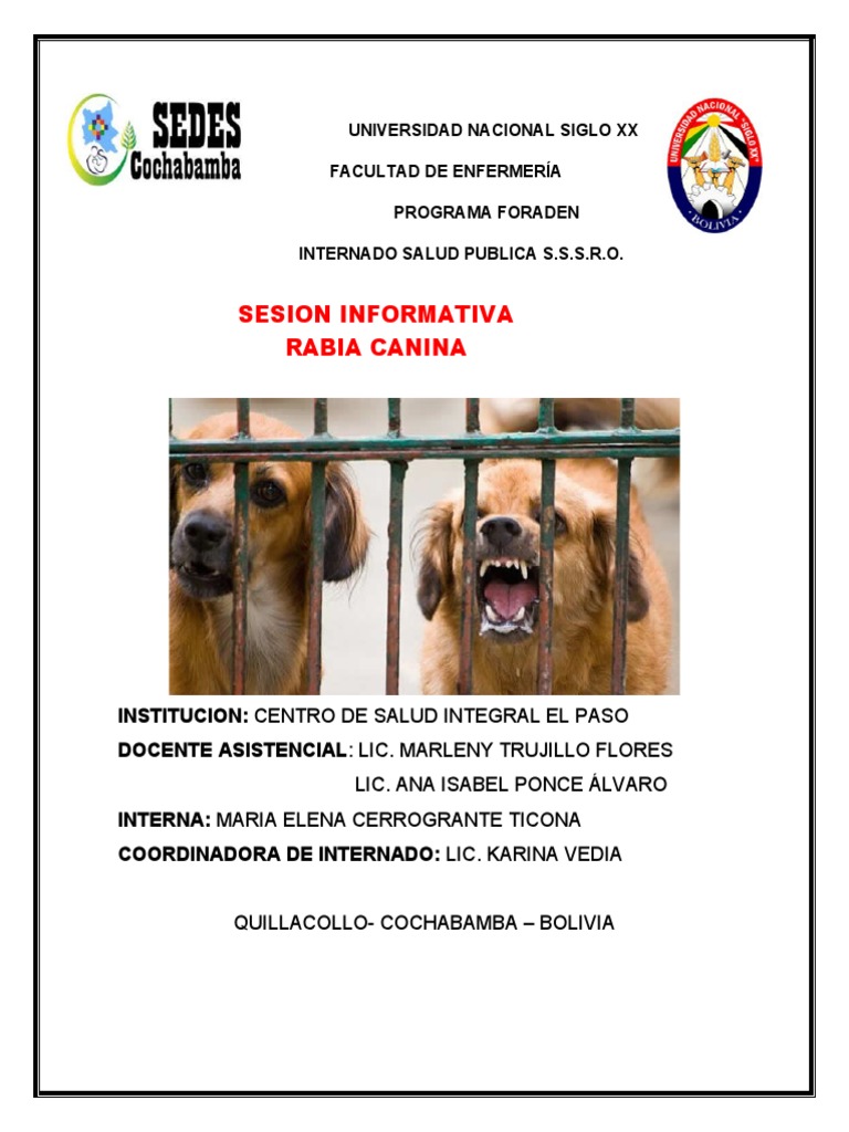 Información sobre Rabia Canina en Bolivia | PDF | Rabia | Virus