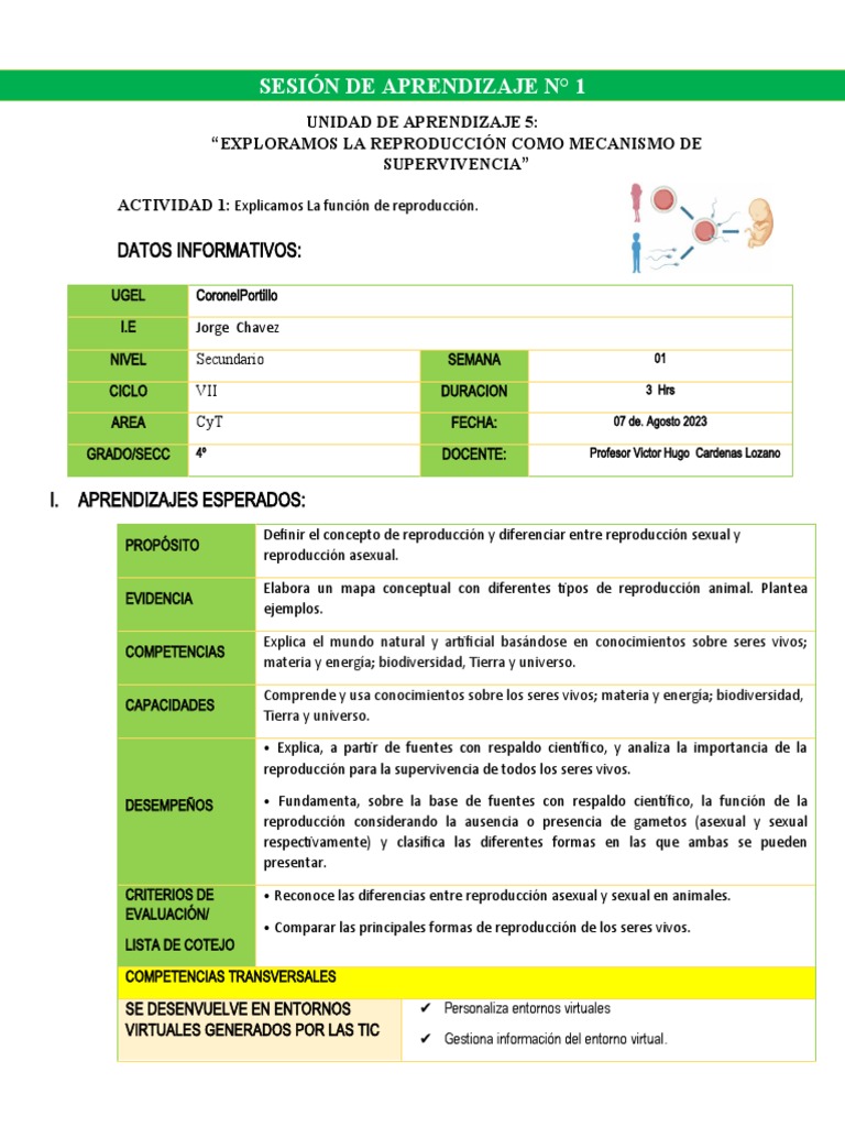 A-4º Ses Act 1-Cyt-Und 5 | PDF