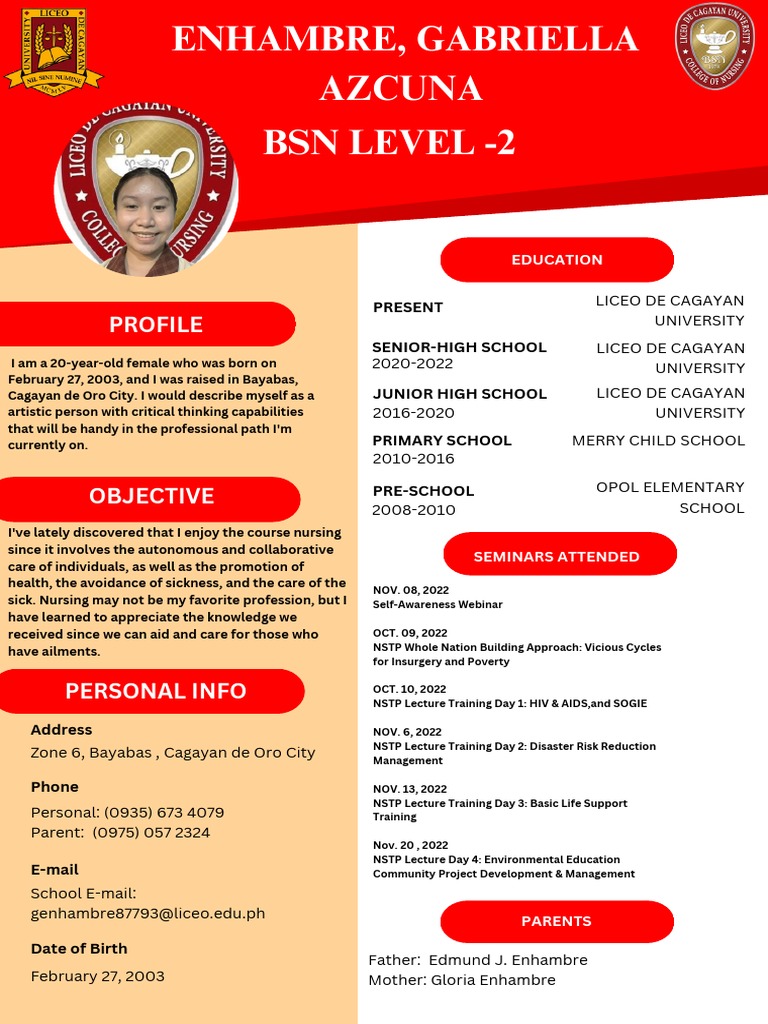 NATINGA Student Profile Level 2 | PDF | Nursing | Health Care