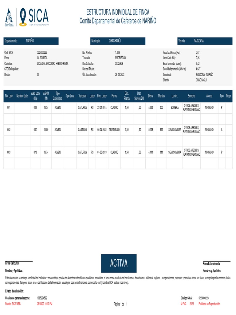 Reporte - Estructuras - 2023-05-28T221028.049 | PDF | café | Bebida