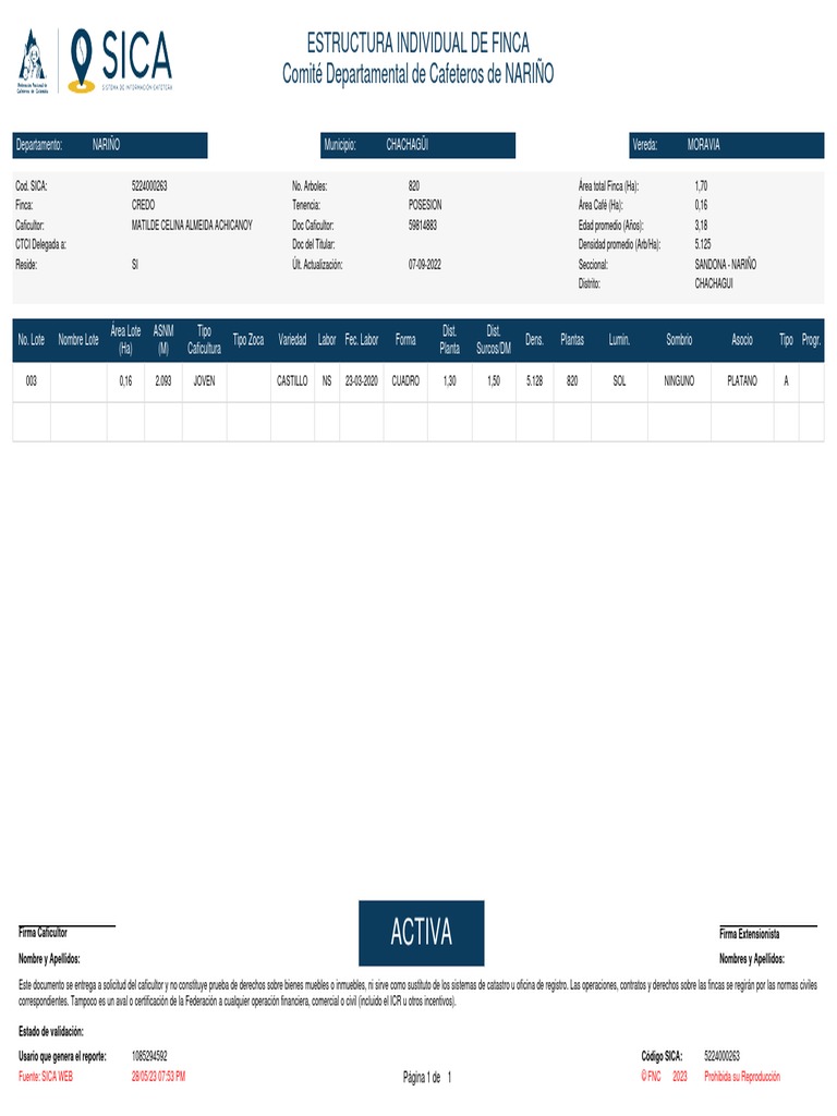 Reporte - Estructuras - 2023-05-28T195401.021 | PDF | café | Bebida