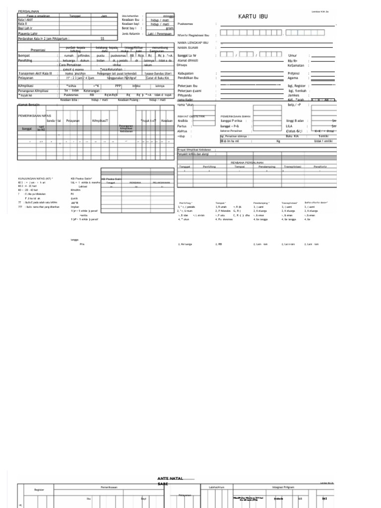 Kartu Ibu Hamil | PDF