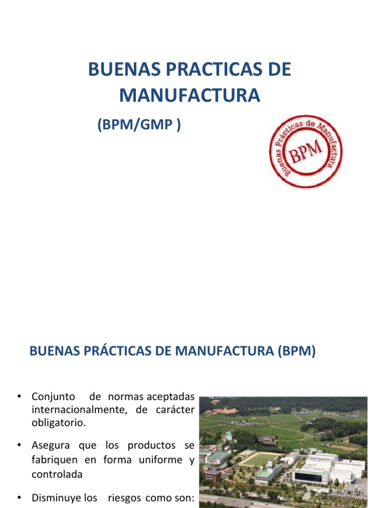 Manual de Las BPM | PDF | Calidad (comercial)