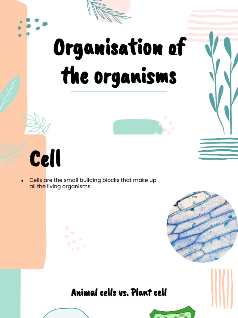 Biology - Unit 2 Organisation of The Organisms | PDF | Cell (Biology) | Cytoplasm