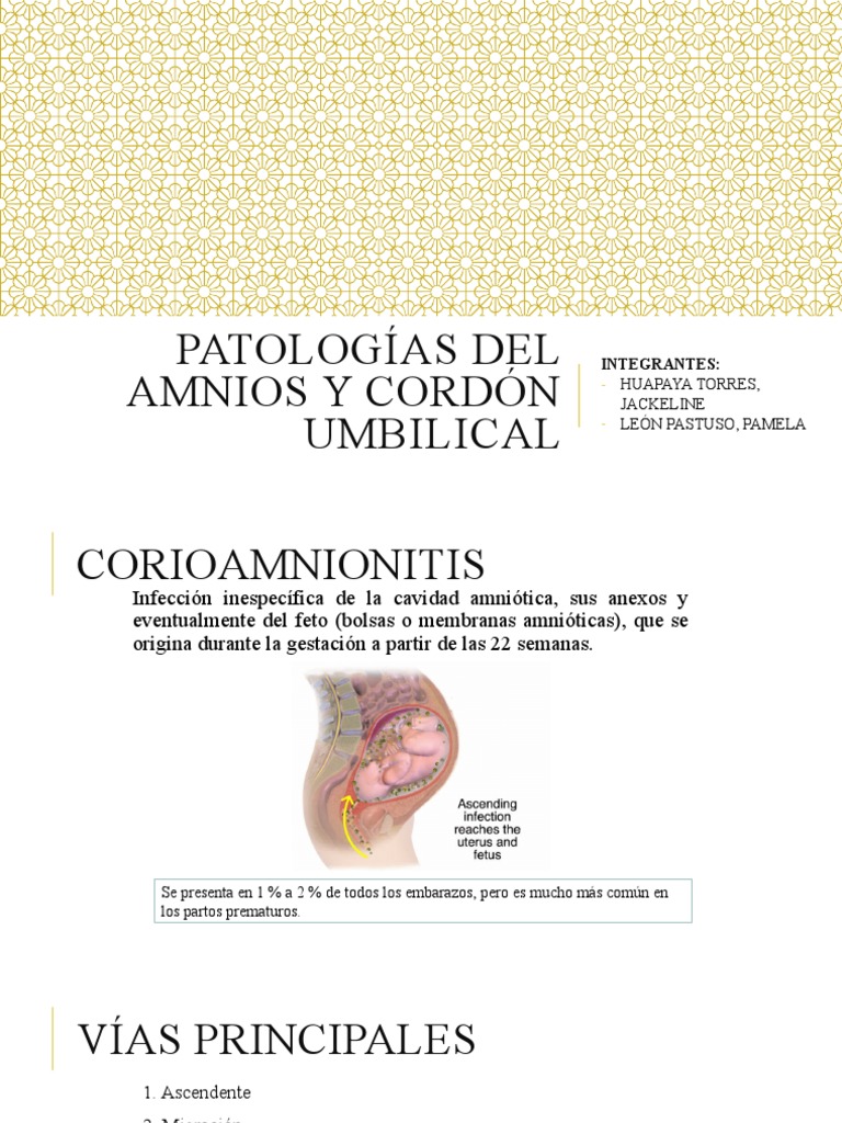 Anomalias Del Amnios y Cordón Umbilical | PDF