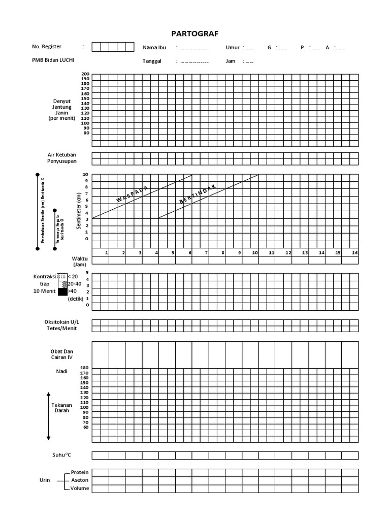 Form Partograf | PDF