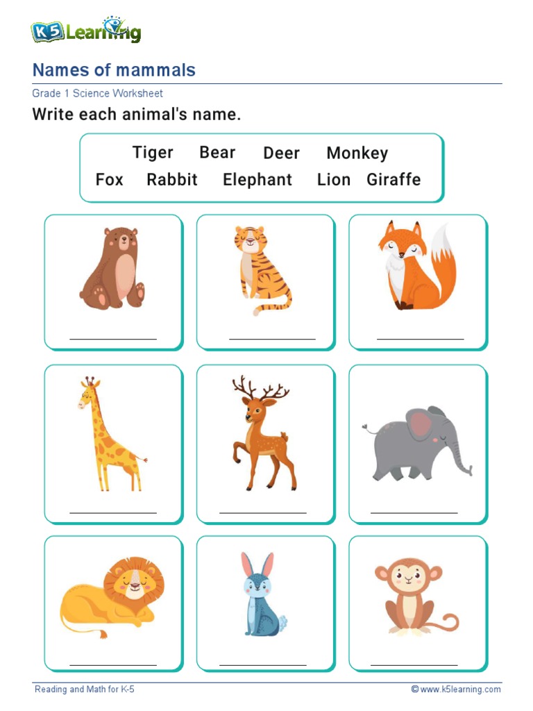 Grade 1 Animal Names A | PDF