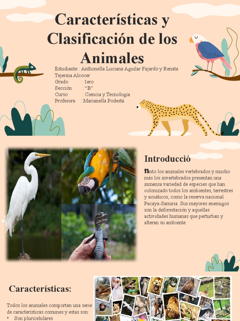 Exposición Características de Los Animales - Parte 1 Anthonella Aguilar ...