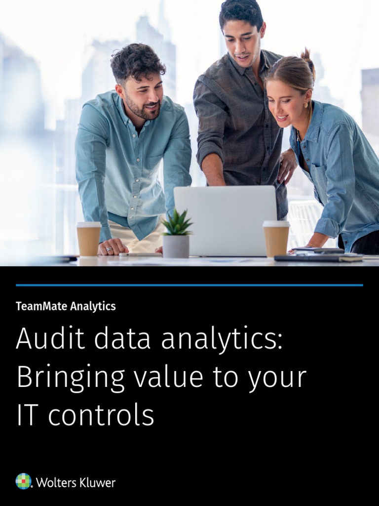 TeamMate Analytics for IT Audits | PDF | Computers