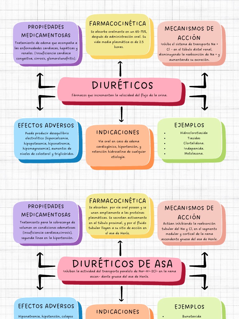 Ejemplos y tipos de diuréticos | PDF | Especialidades Medicas ...