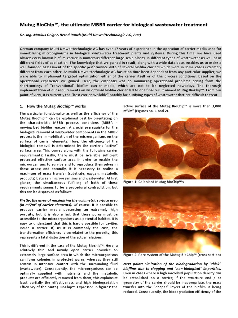 Mutag BioChip Technical Article 10 2013 | PDF | Sewage Treatment ...