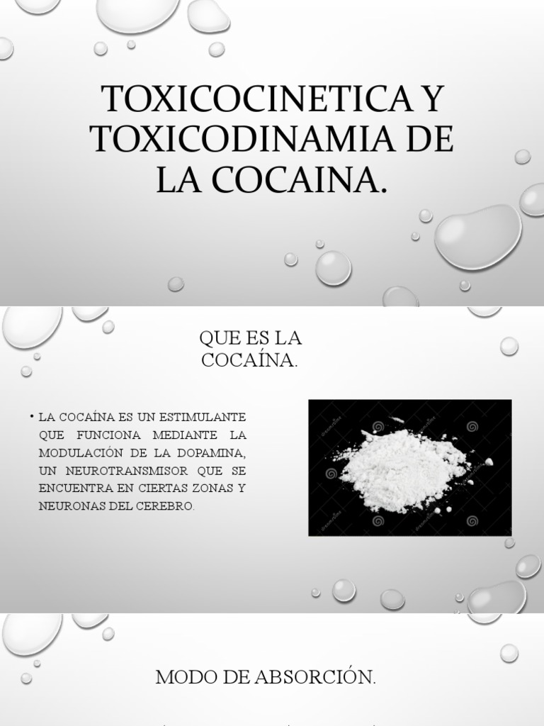 Toxicocinetica y Toxicodinamia de La Cocaina | PDF | Cocaína | Neurona