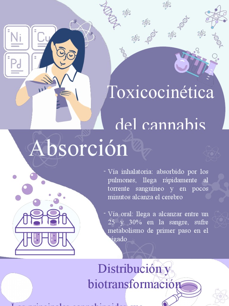 Presentacion Cannabis | PDF