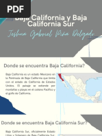 Danza de la Picota en Tamaulipas | PDF | Ritmo | Entretenimiento (general)