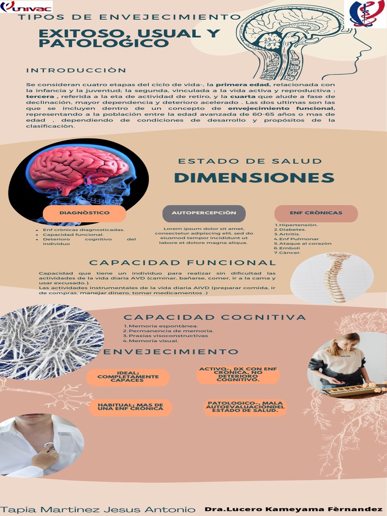 Tipos de Envejecimiento | PDF