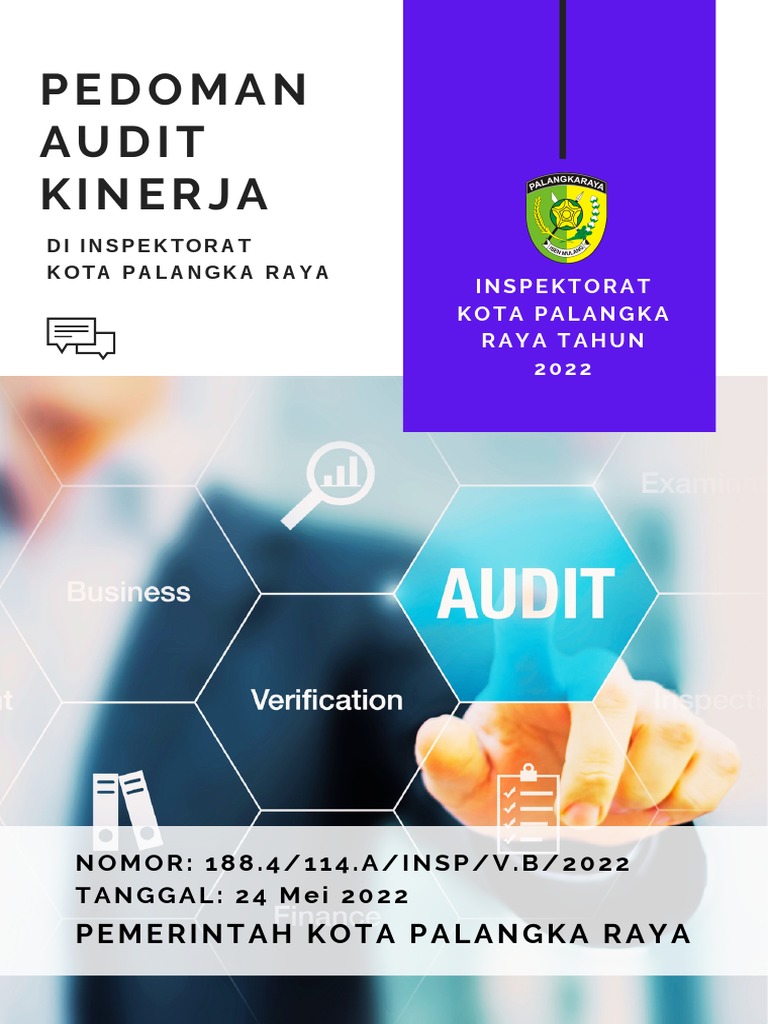 Pedoman Audit Kinerja | PDF
