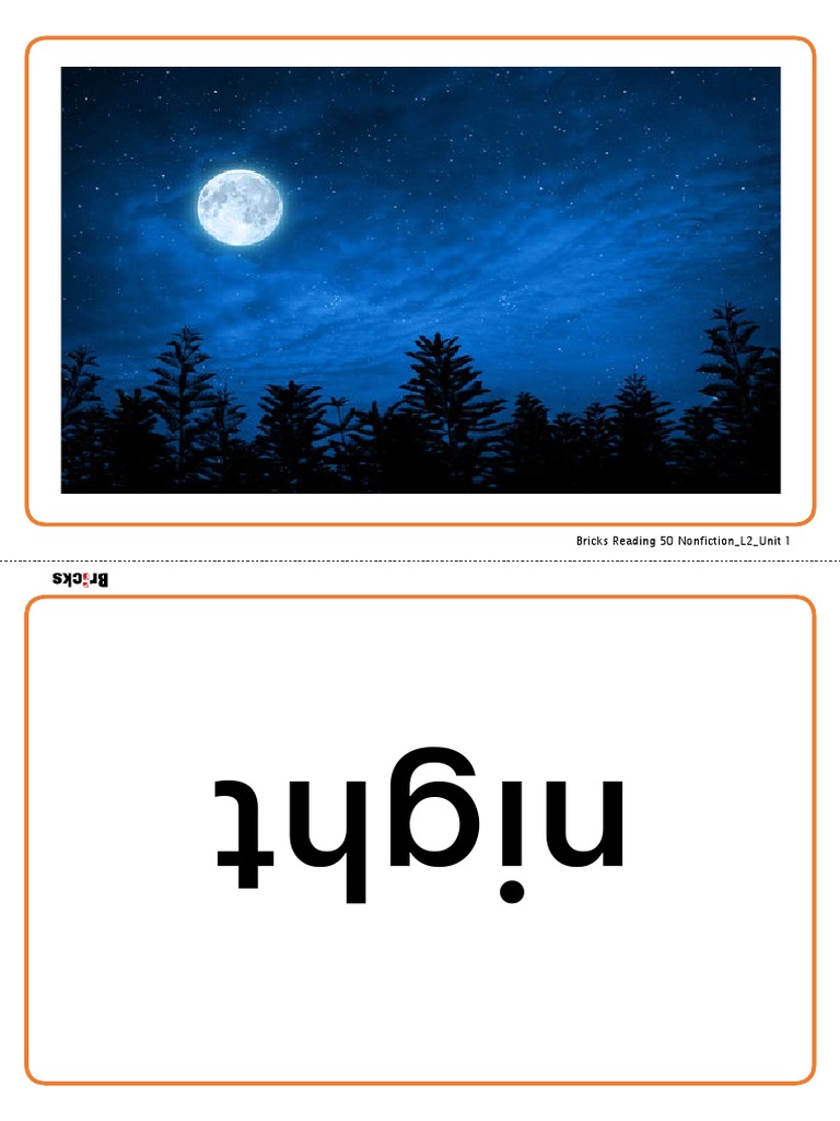 Bricks Reading 50 Nonfiction - L2 - Flashcard - Unit 01 | PDF