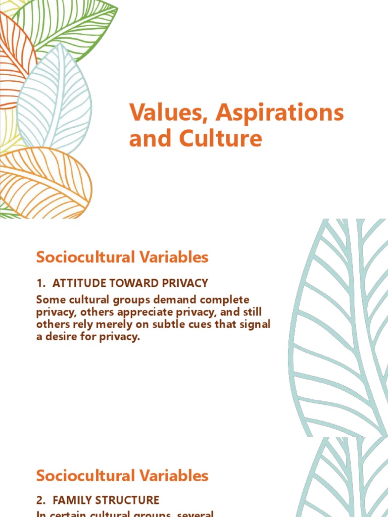 12 - Values Aspirations and Culture | PDF