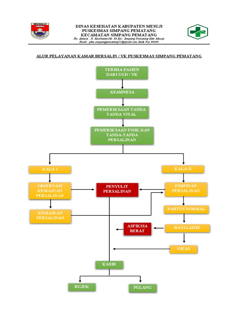 ALUR PERSALINAN VK | PDF