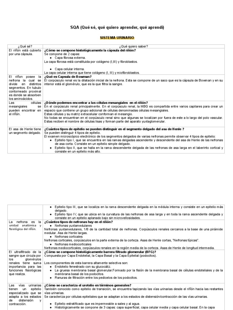 Urinario Sqa | PDF
