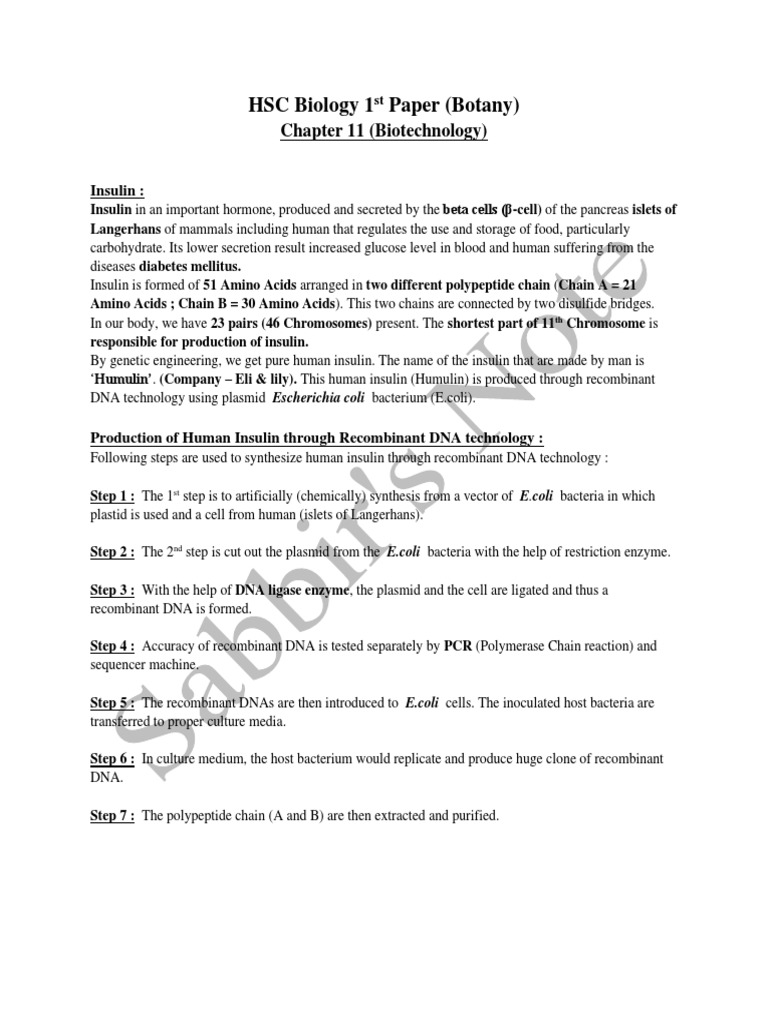 Insulin Production | PDF