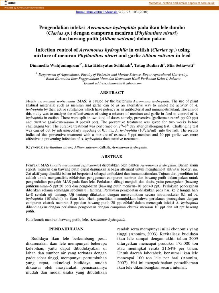 Pengendalian Infeksi Aeromonas Hydrophila Pada Ikan Lele Dumbo | PDF
