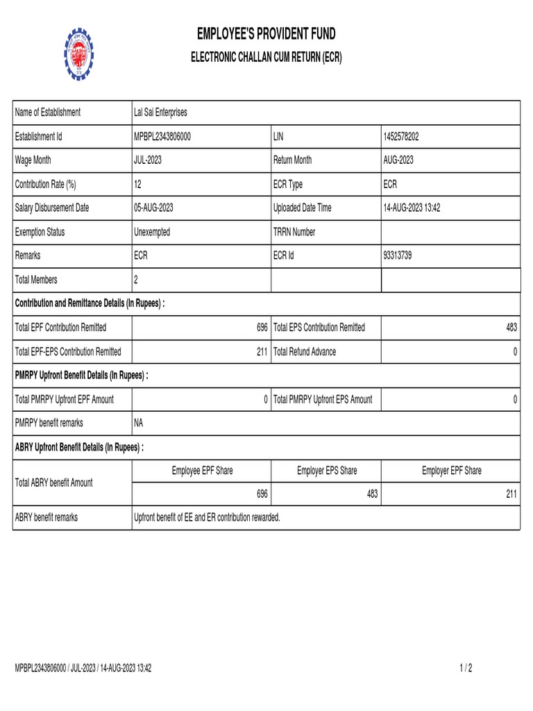 ECR Statement FTM Jul 2023 | PDF