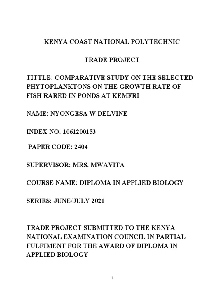 Trade Projectnyongesa Eddited | PDF